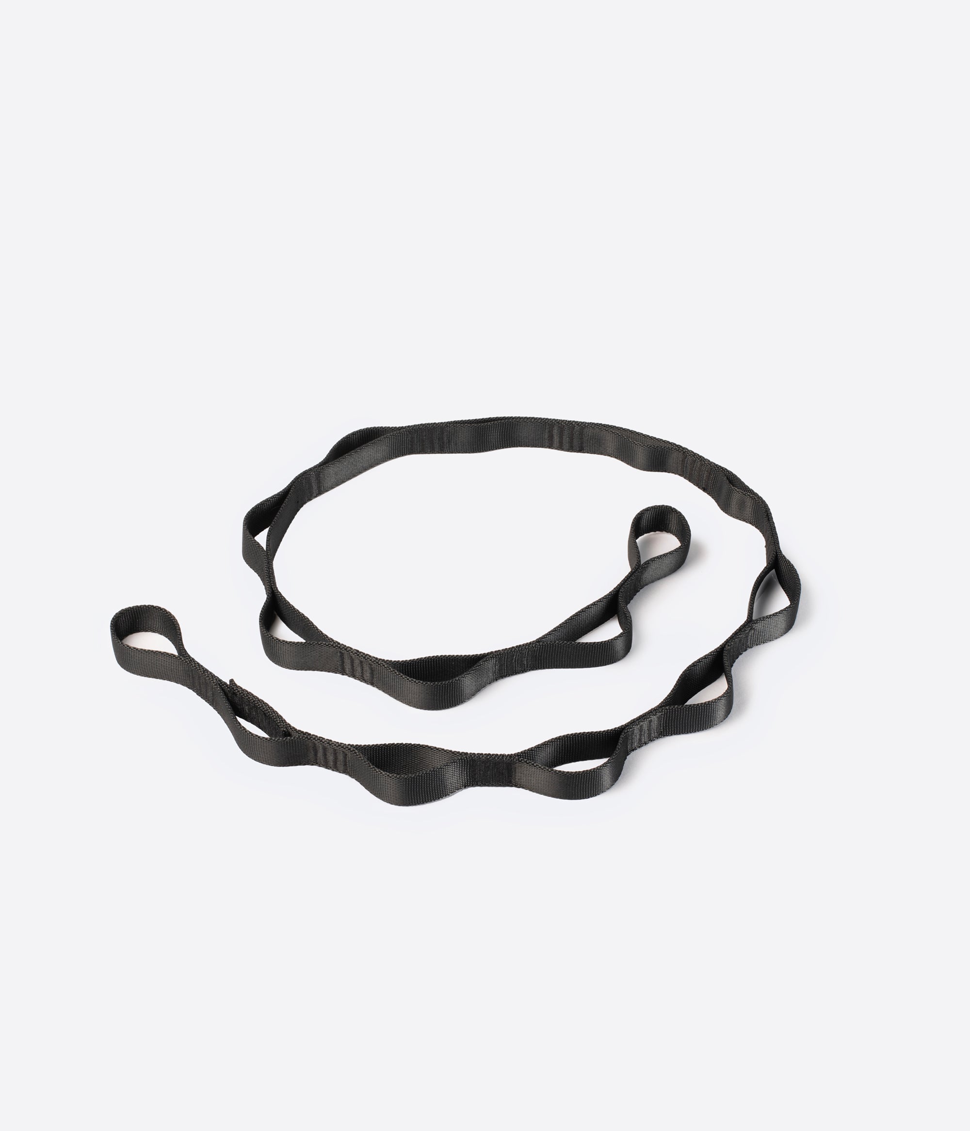 Weight rope for pull-ups and dips - Eric Flag